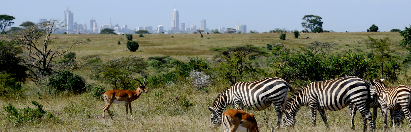 Nairobi National Park | Kenya Wildlife Service (KWS)